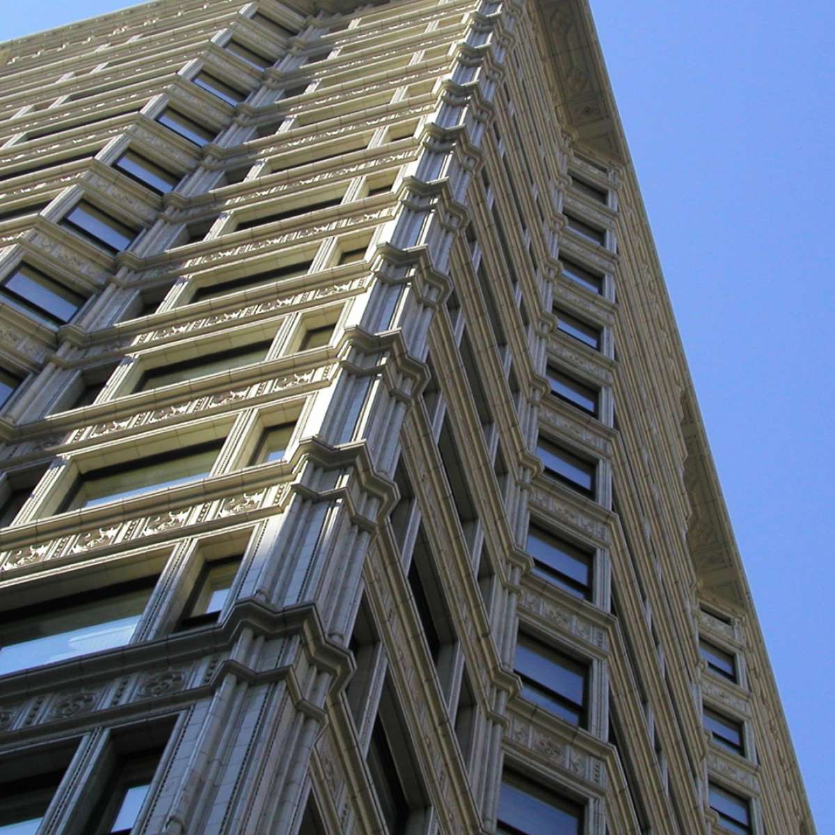 CAC Live: Building Tall on Broad Shoulders