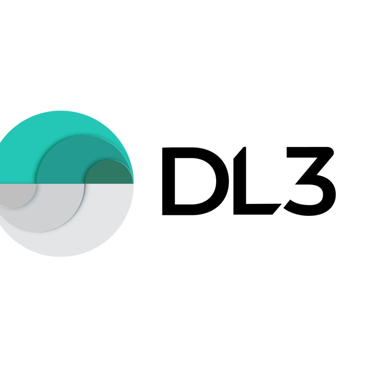 DL3 Realty L.P. | Loop Chicago