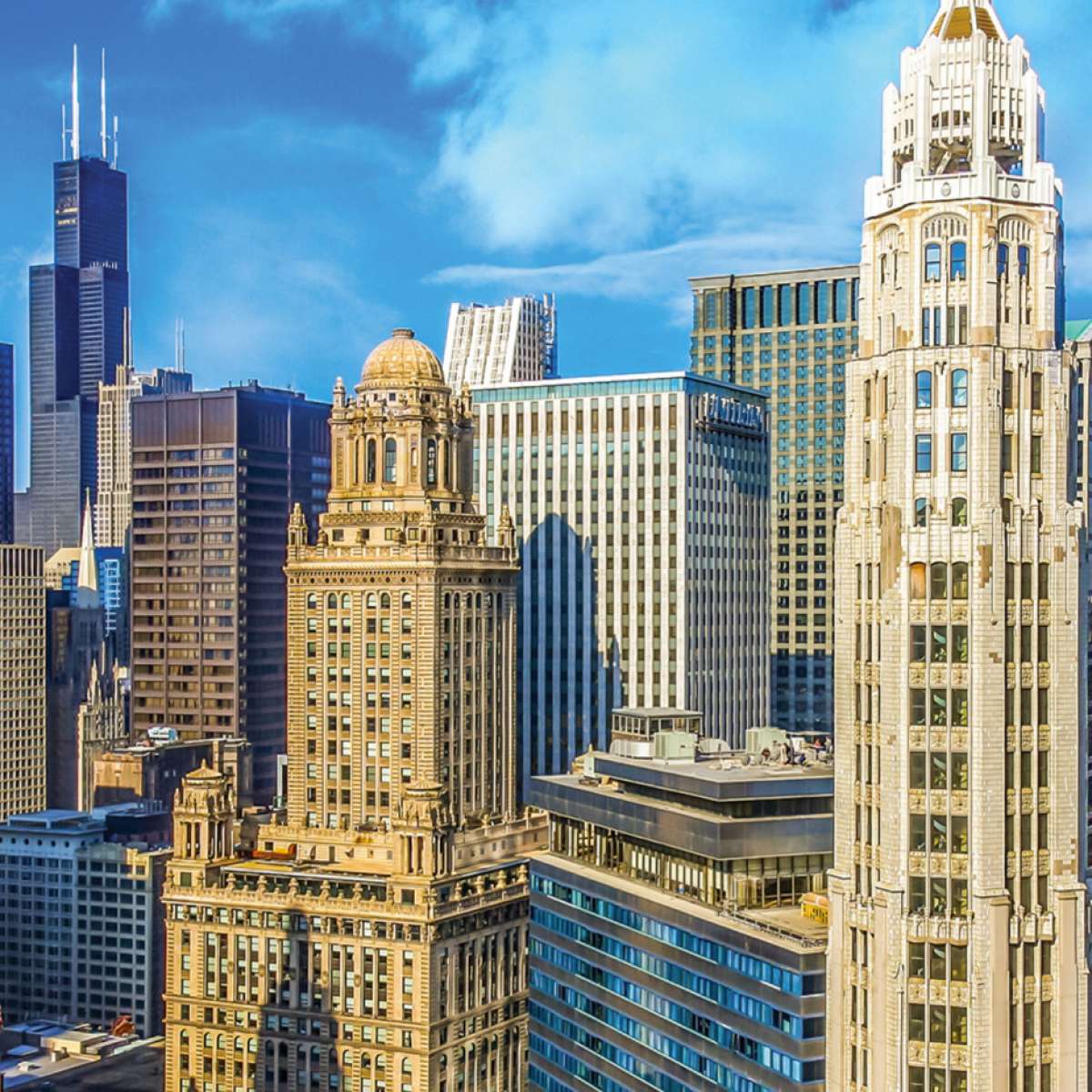 Envision Unlimited | Loop Chicago