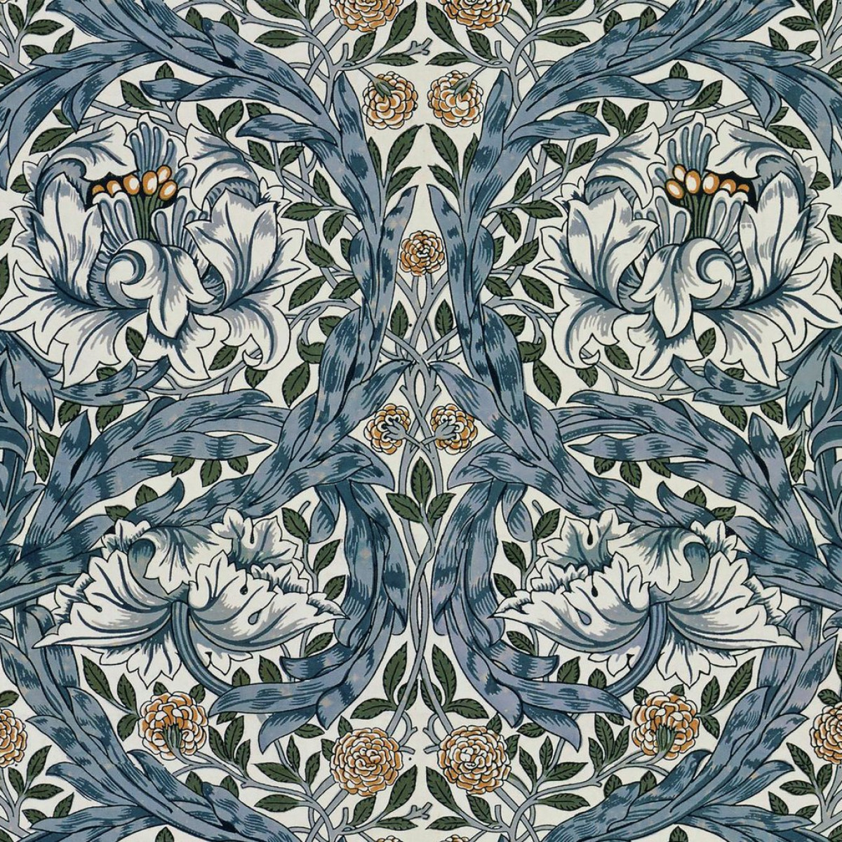 William Morris Tour