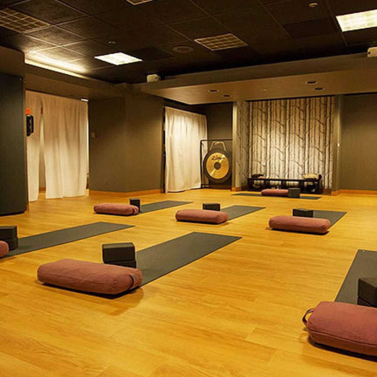 The Loop's Newest Nap Space