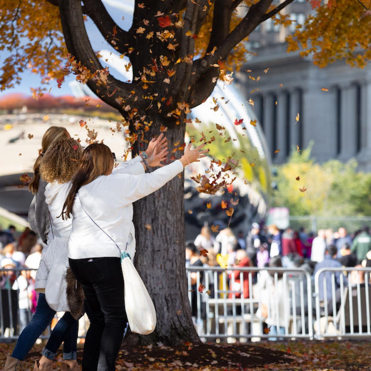 The Perfect Fall Day in the Loop
