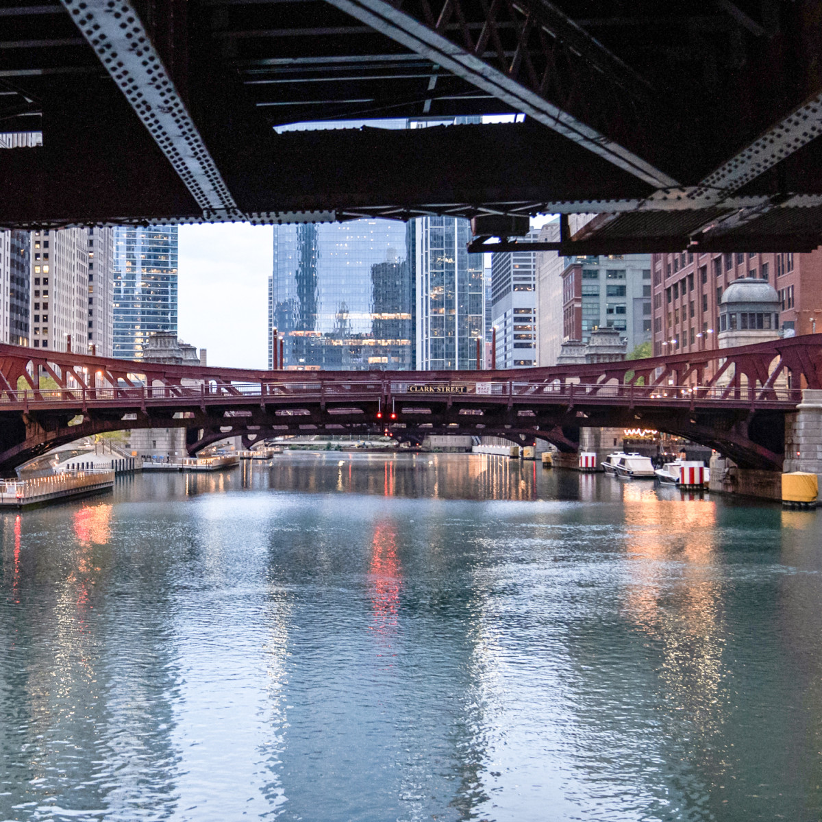 Swimmers return to the Chicago River 98 years later