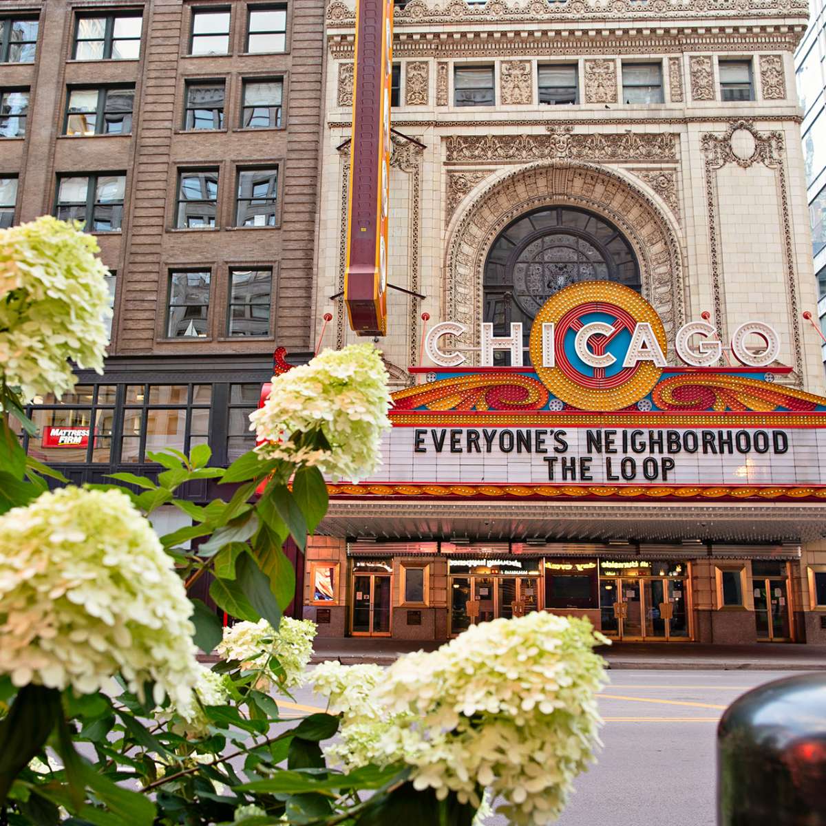 The most Instagrammable spots in the Chicago Loop