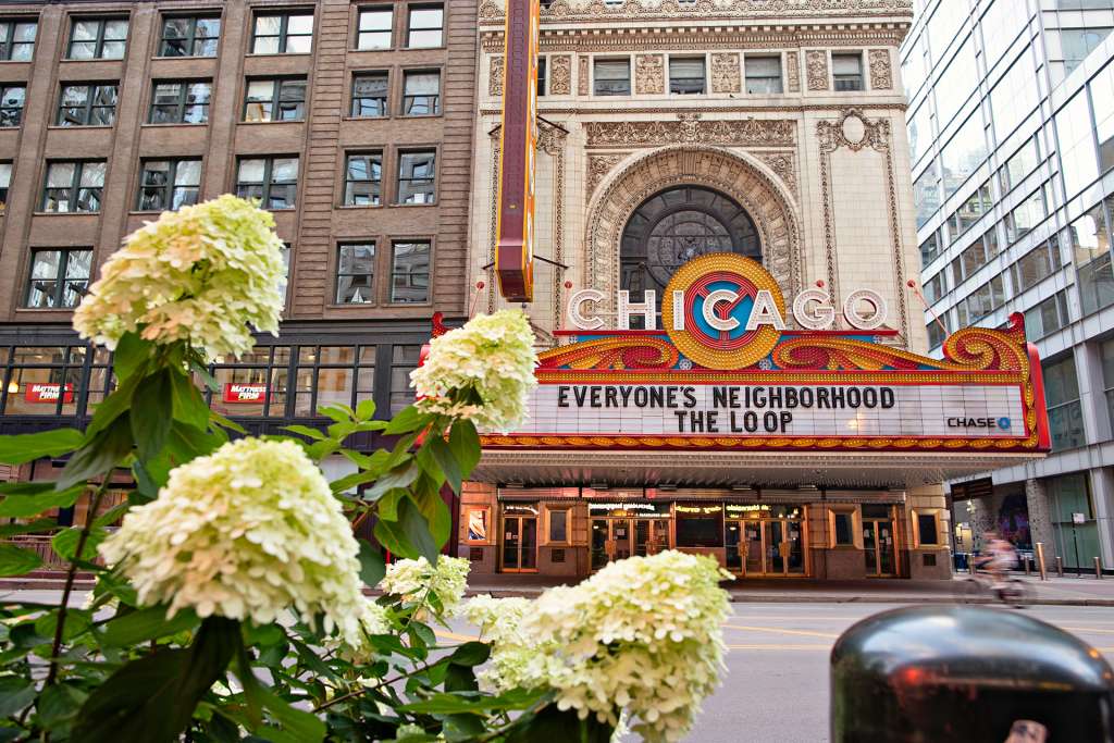 What does the Chicago Loop look like these days?