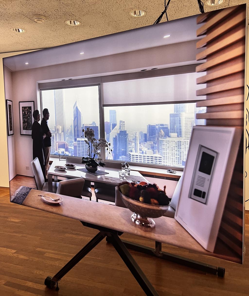 Lions, and photos and Chicago...oh my