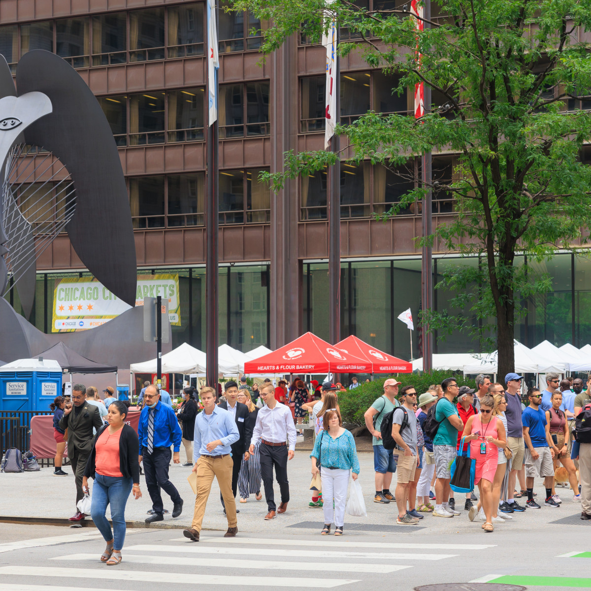 DNC Overview: What you need to know