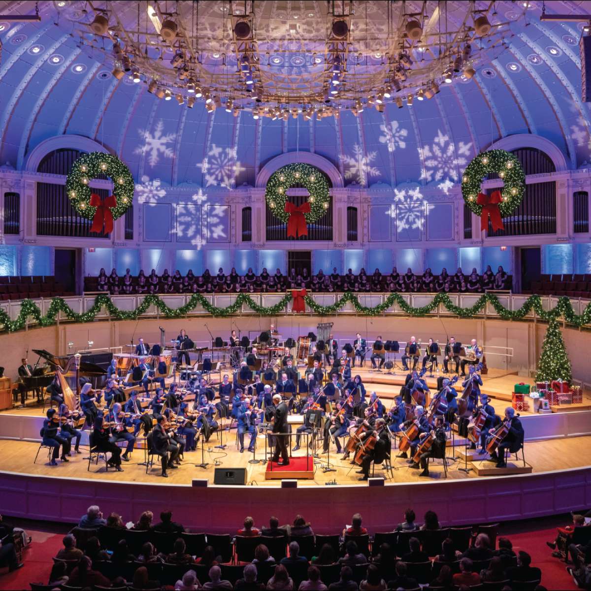 Holiday Traditions in the Chicago Loop